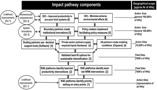 Impact Pathways