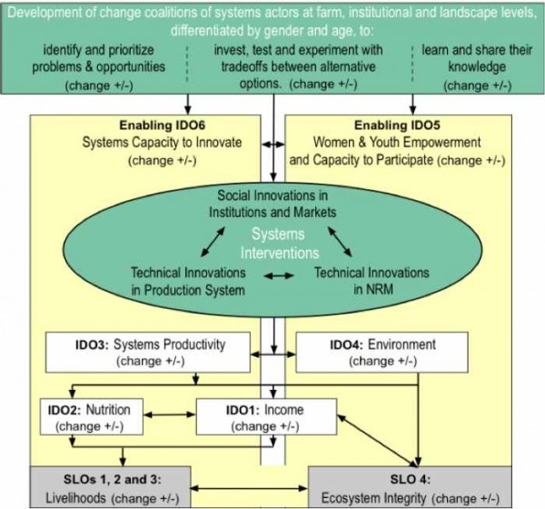 Impact Pathways